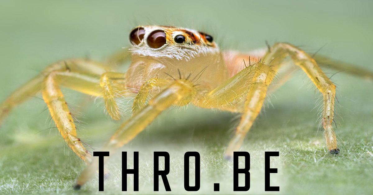 Thro.be - Minimalist Free Speech Privacy-aware Anonymous Blogging Platform