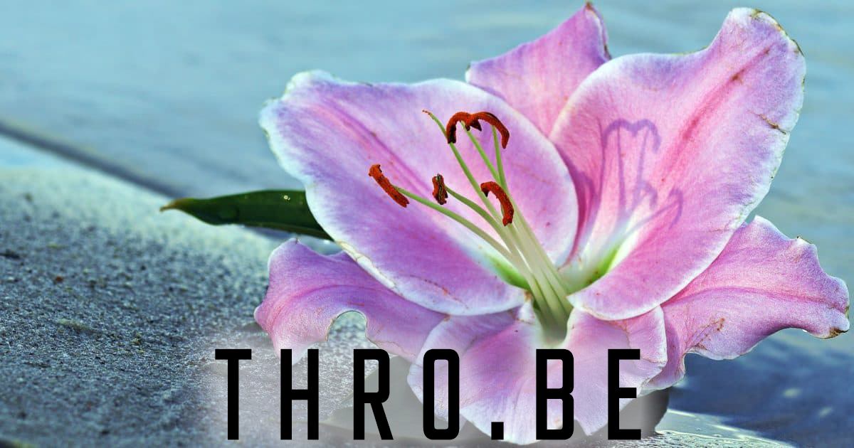 Thro.be - Minimalist Free Speech Privacy-aware Anonymous Blogging Platform