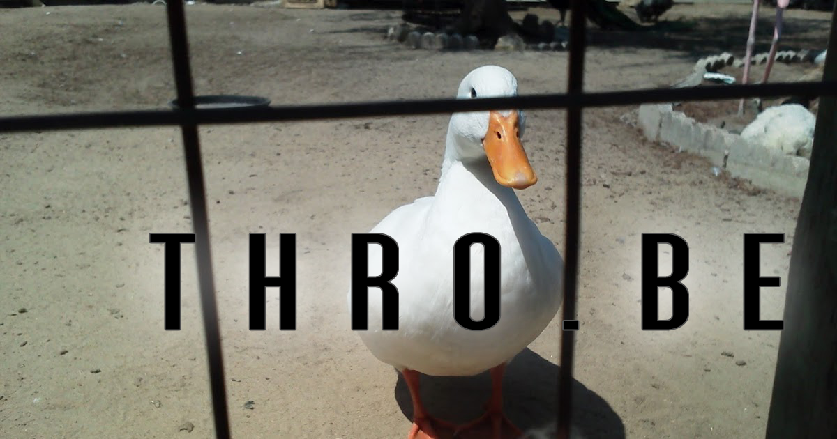 Thro.be - Minimalist Free Speech Privacy-aware Anonymous Blogging Platform